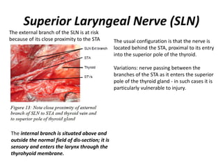 thyroidectomy notes.pptx