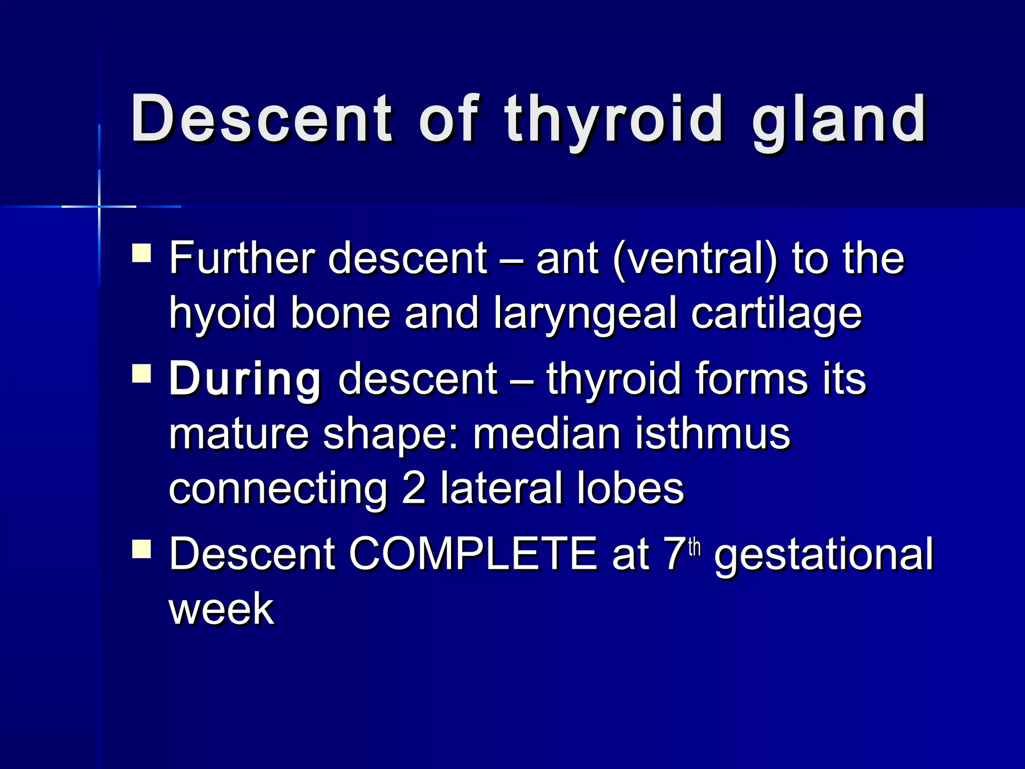 Thyroid embryology | PPT