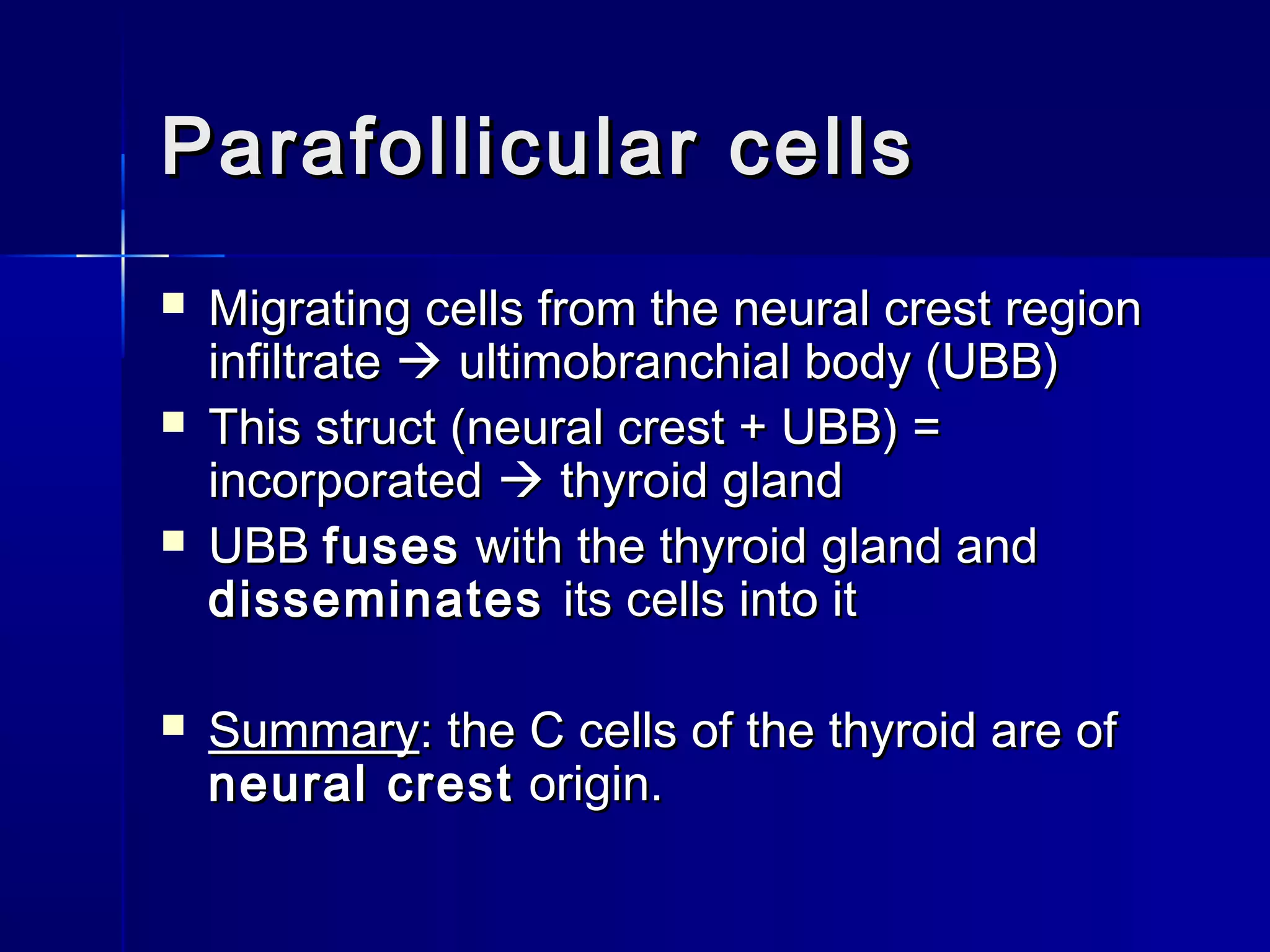 Thyroid embryology | PPT