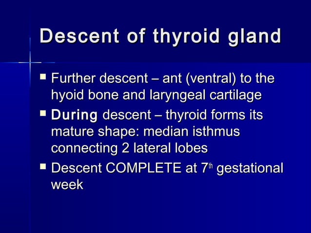 Thyroid embryology | PPT