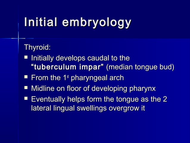 Thyroid embryology | PPT