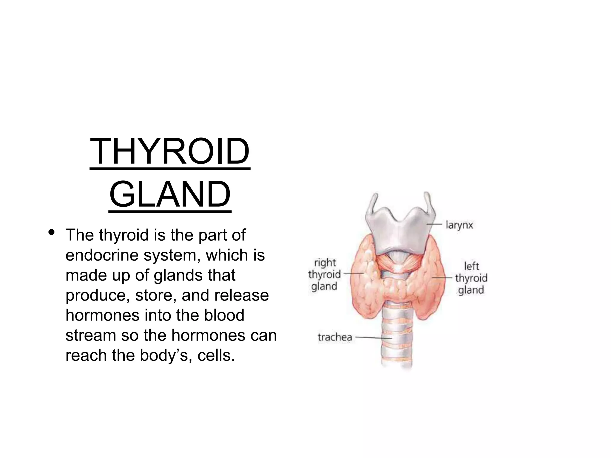 Thyroid examination power point | PPTX