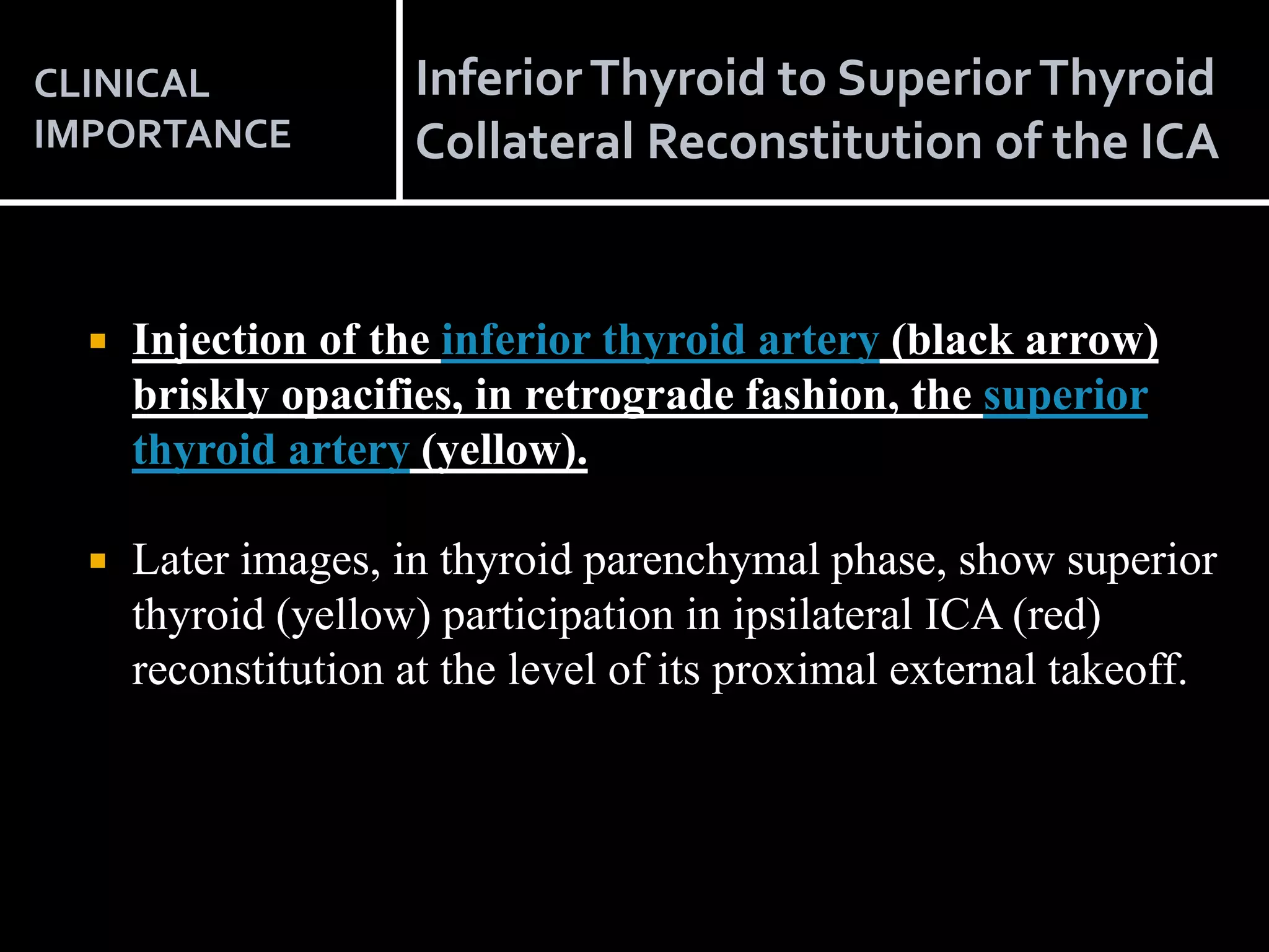 Thyroid, facial and lingual artery -- Anatomy and anastomosis | PPTX