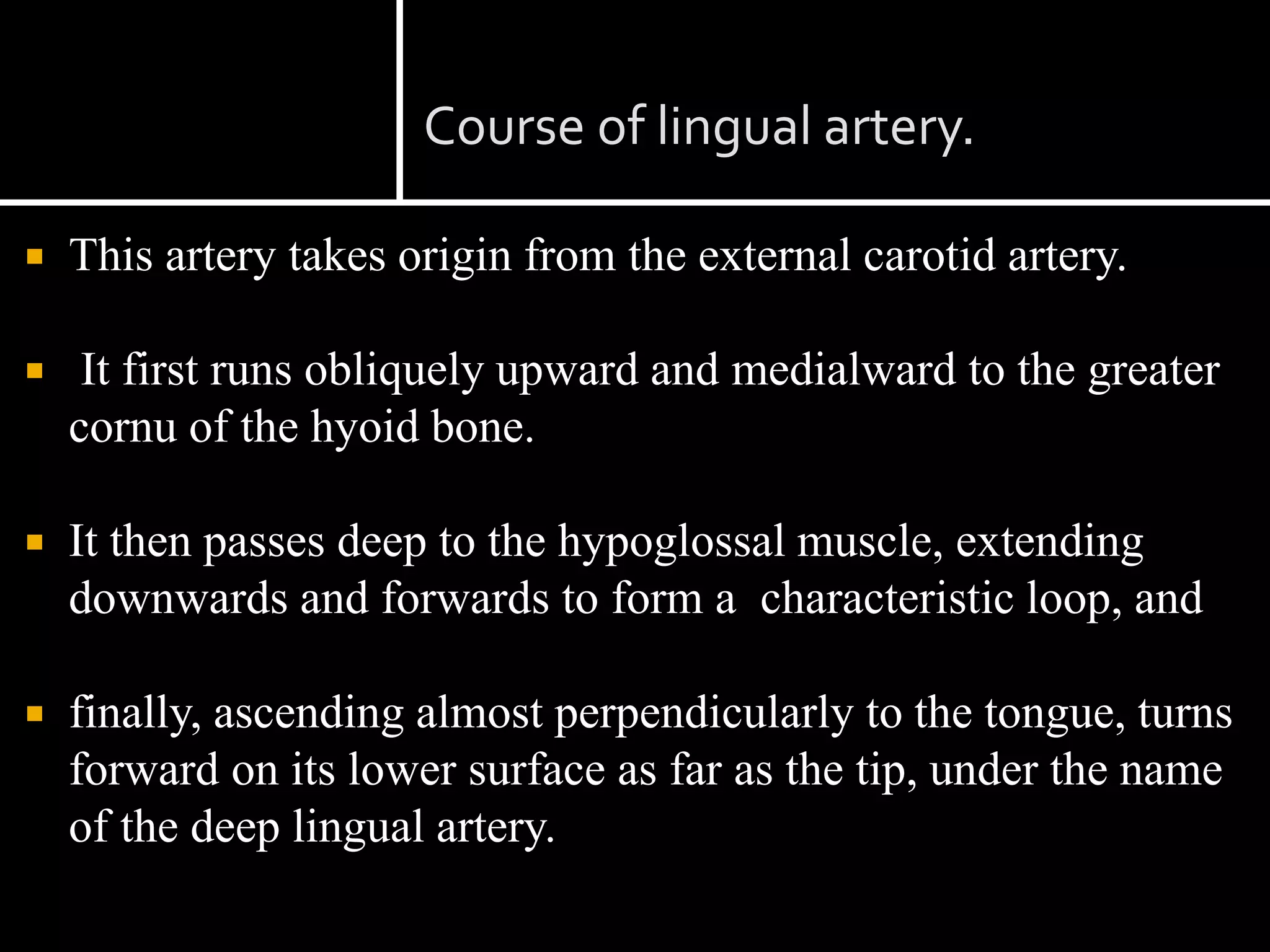 Thyroid, facial and lingual artery -- Anatomy and anastomosis | PPTX