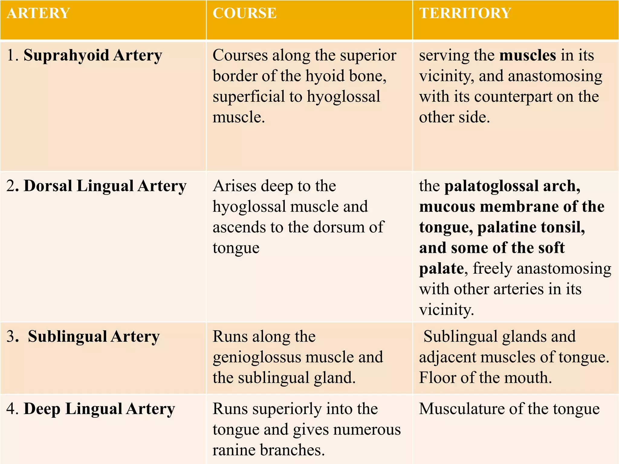 Thyroid, facial and lingual artery -- Anatomy and anastomosis | PPTX