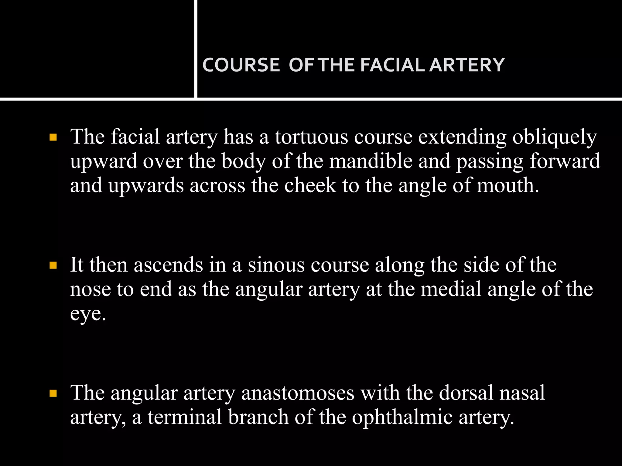 Thyroid, facial and lingual artery -- Anatomy and anastomosis | PPTX