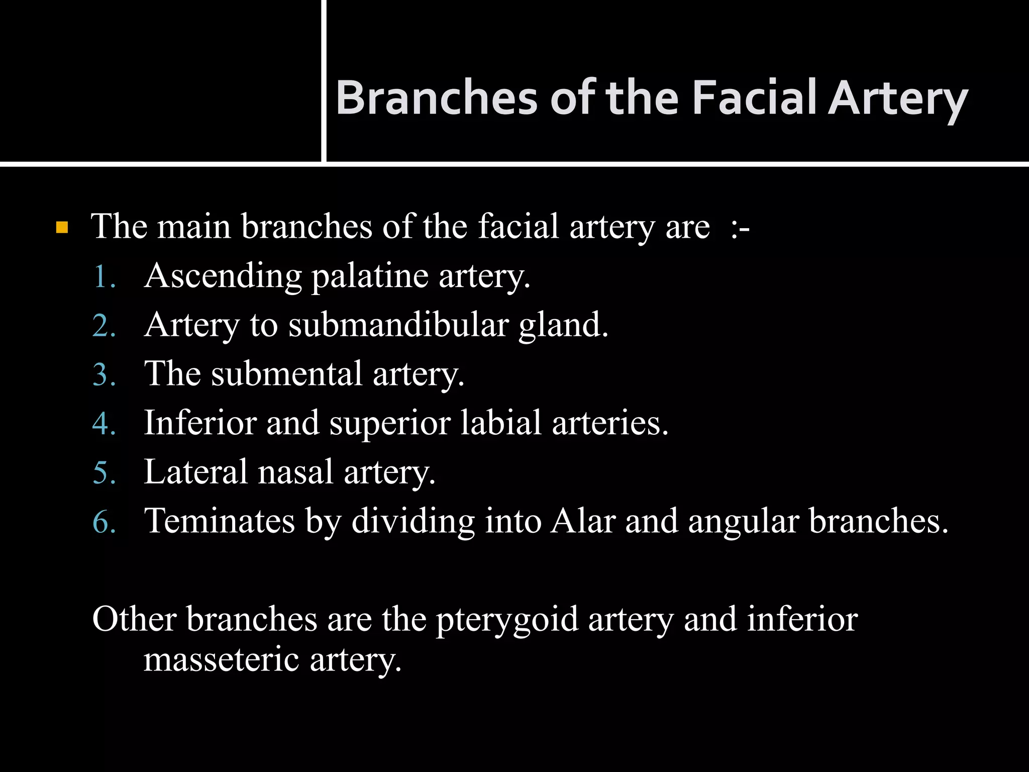 Thyroid, facial and lingual artery -- Anatomy and anastomosis | PPTX