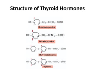 functions and metabolism of Thyroid gland and thyroid function tests | PPTX