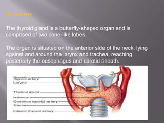 Thyroid function | PPT