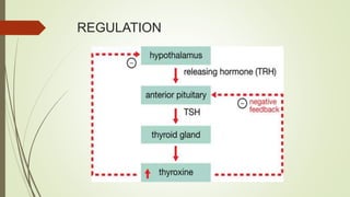 Thyroid function test | PPTX