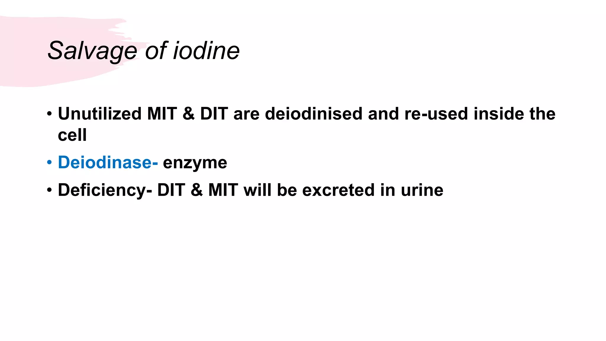 Thyroid Function Test.pptx