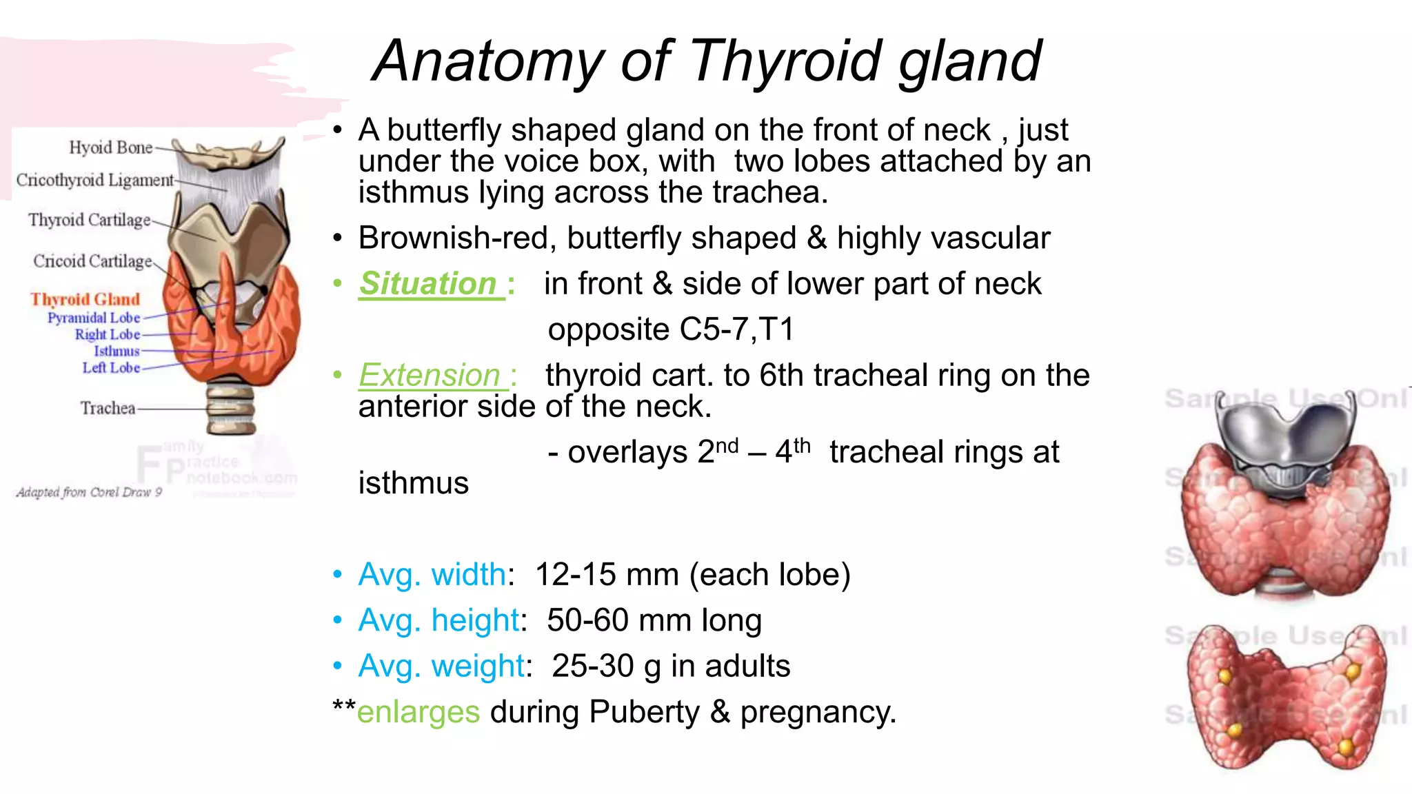 Thyroid Function Test.pptx