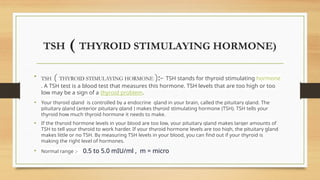 THYROID FUNCTION TEST,TFT.THYROID PROFILE TEST.pptx