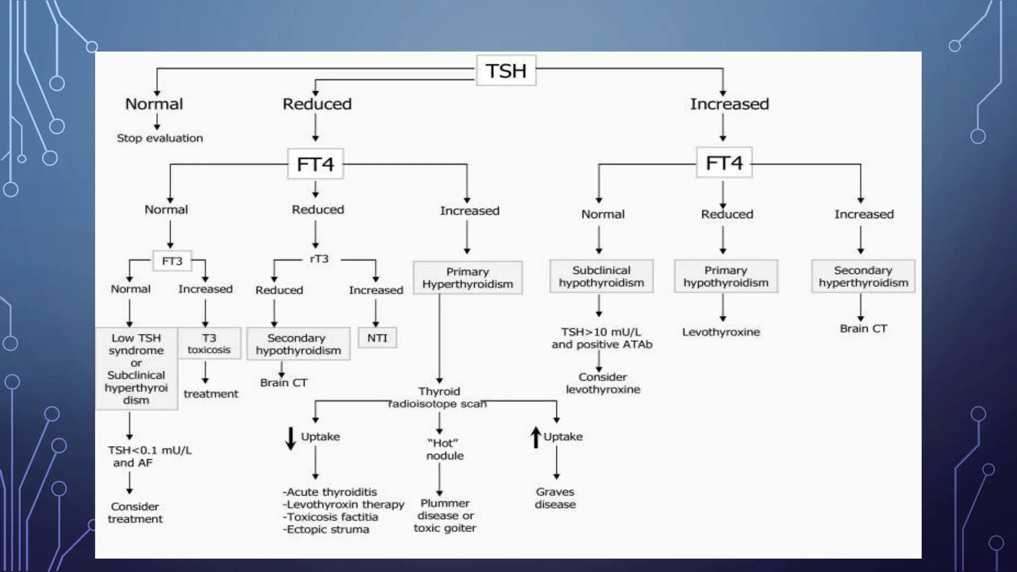 THYROID FUNCTION TEST | PPTX