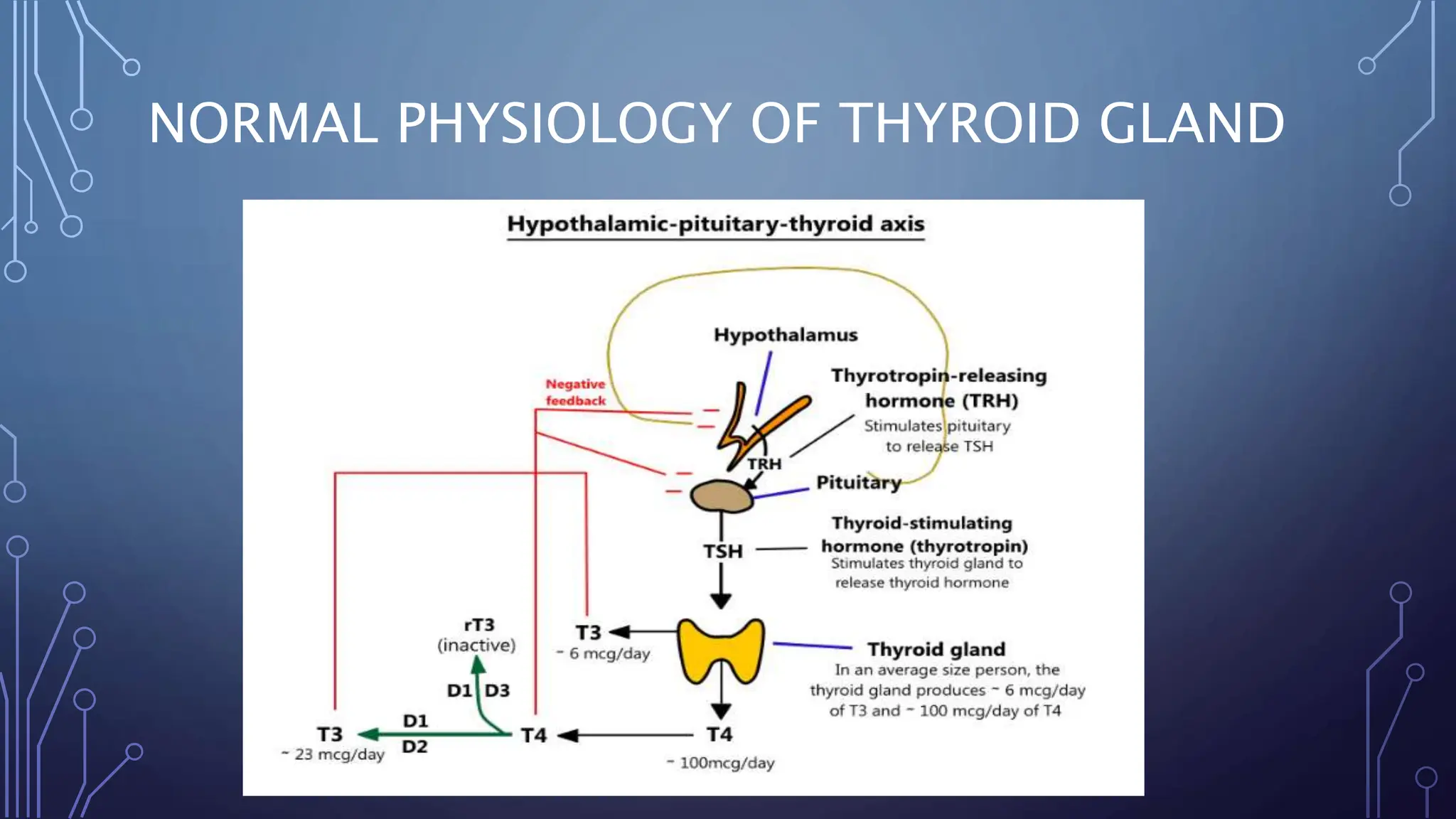 THYROID FUNCTION TEST | PPTX