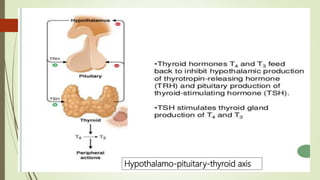 Thyroid Function Test | PPTX