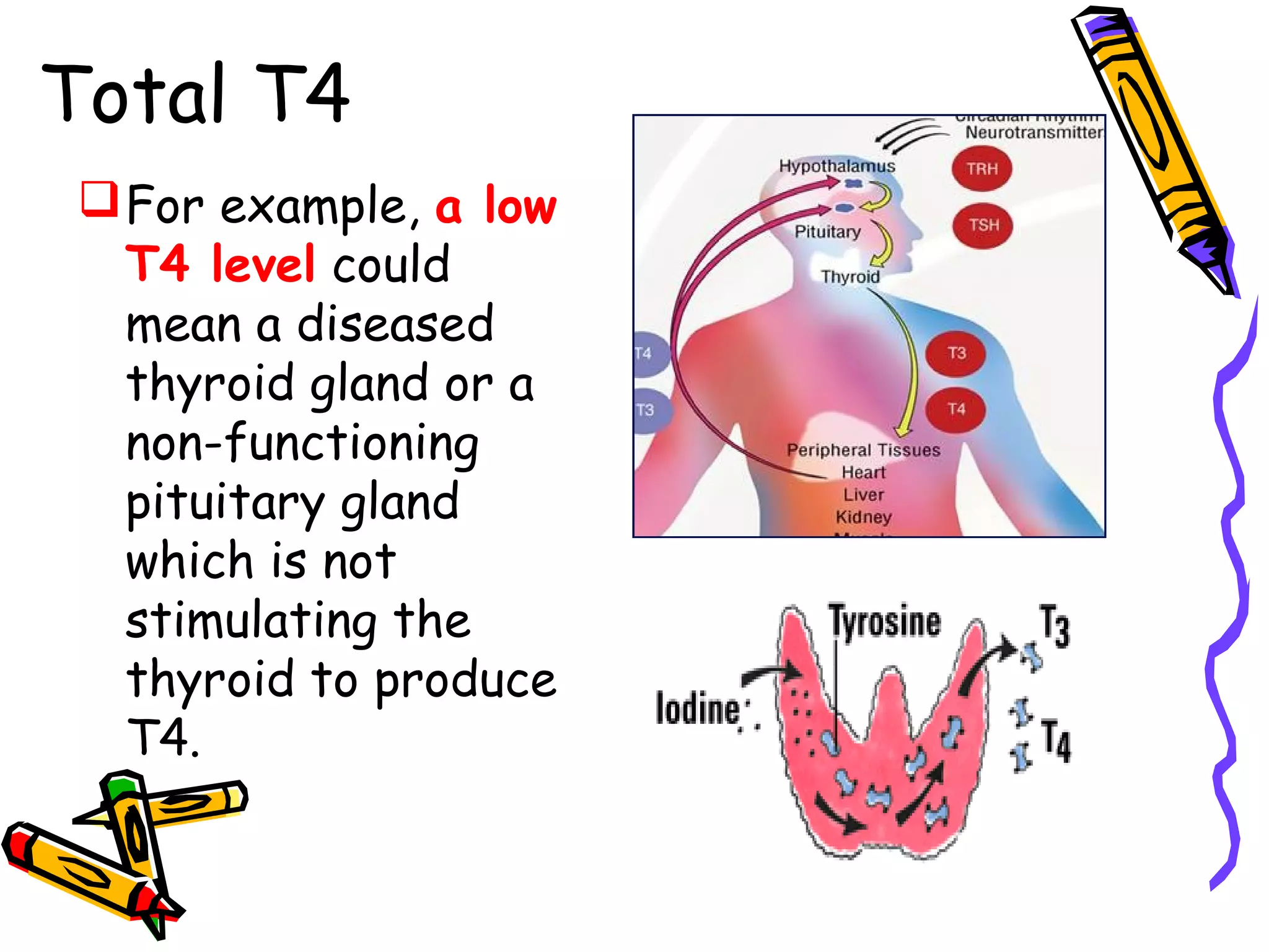 DIFFICULTIES IN LAB. DIAGNOSIS OF THYROID DISEASE | PPT