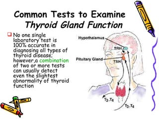 DIFFICULTIES IN LAB. DIAGNOSIS OF THYROID DISEASE | PPT