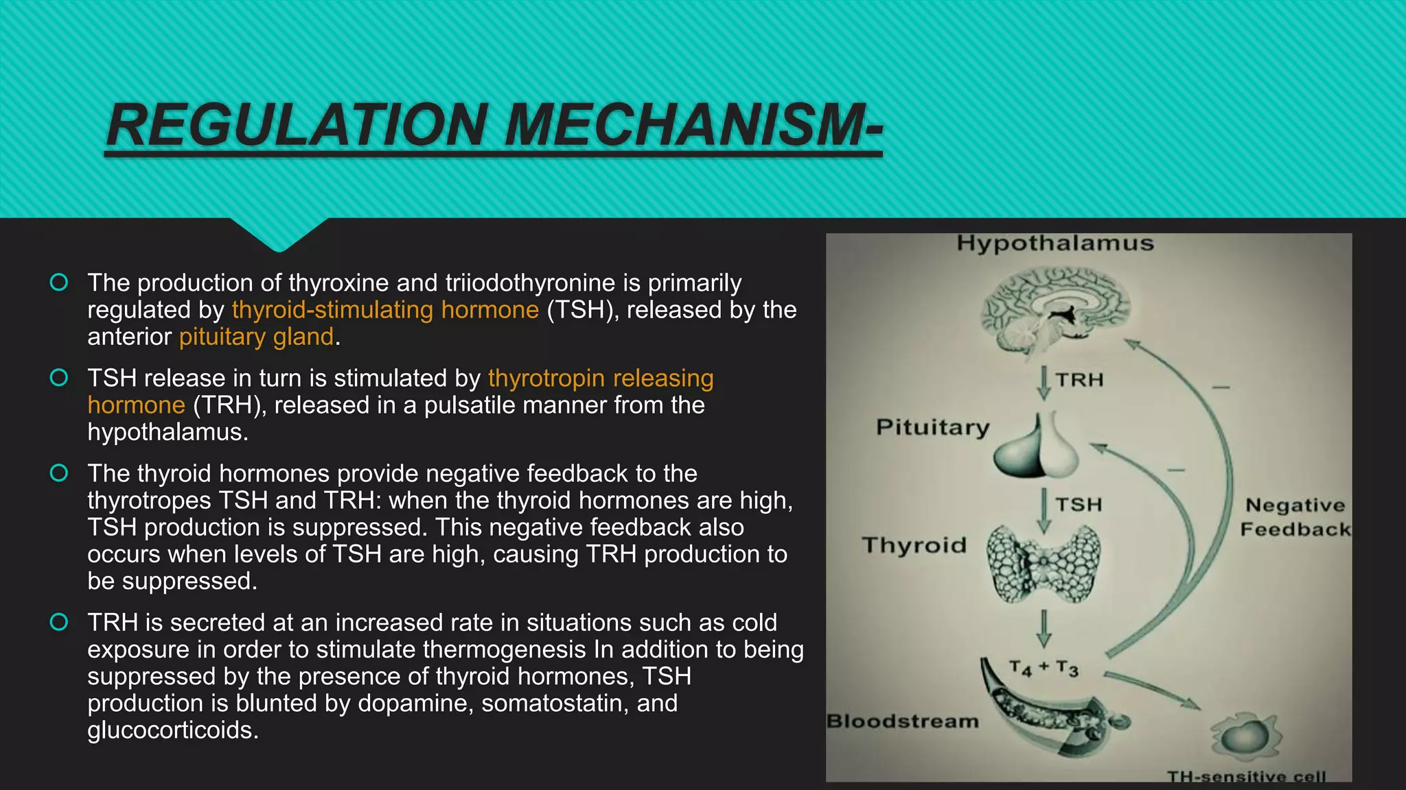 Thyroid function tests | PPTX