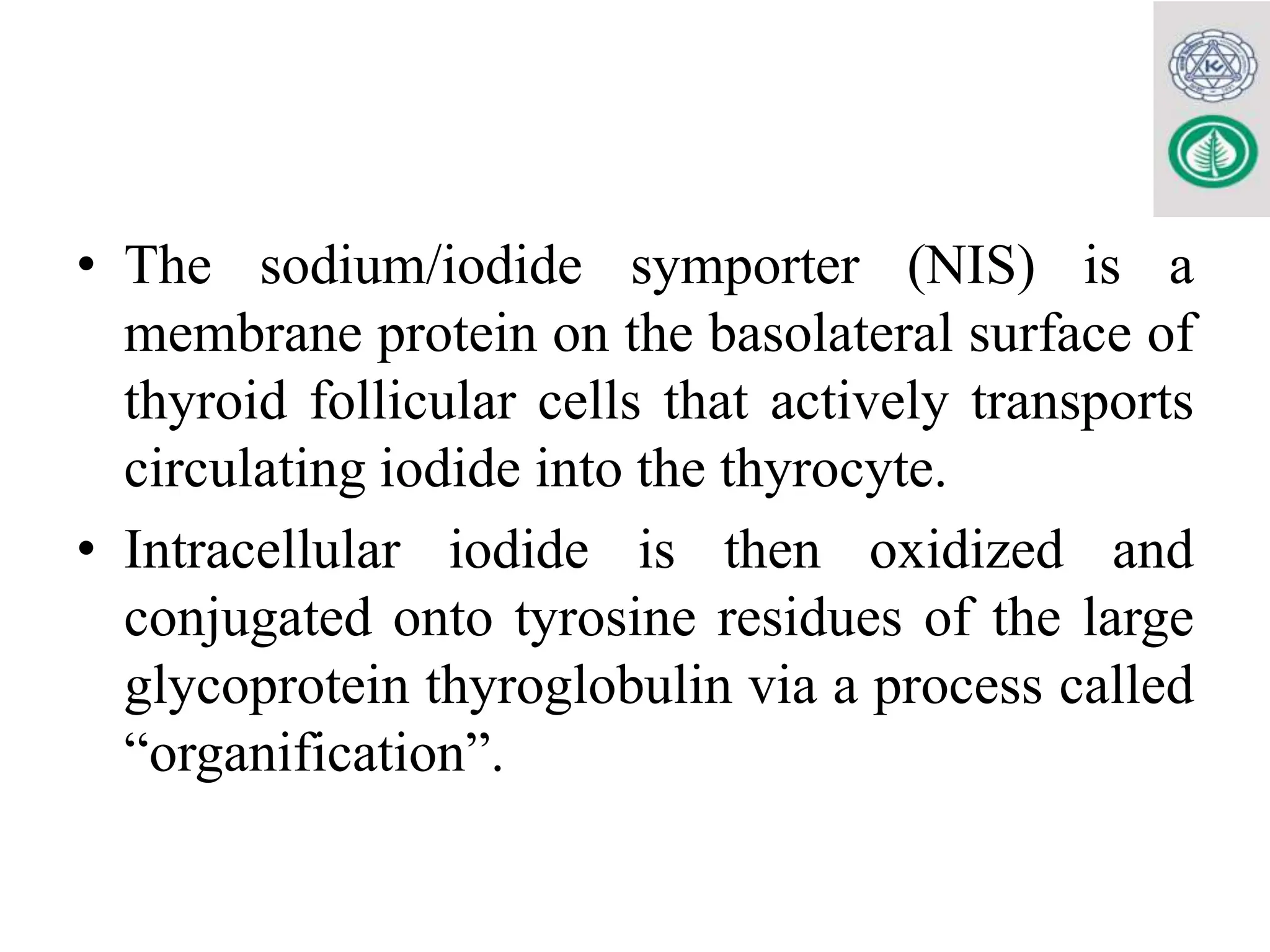 Thyroid function tests for MBBS, LAB. MED & BDS.pptx