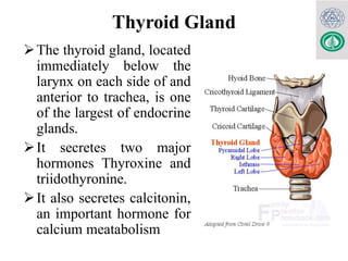 Thyroid function tests for MBBS, LAB. MED & BDS.pptx
