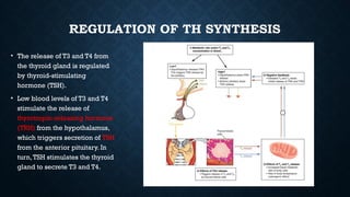 THYROID FUNCTION TESTS.pptxtests that used for thyroid function | PPTX