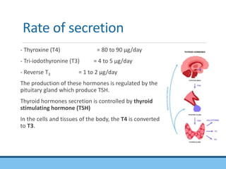 thyroid function test seminar.pptx