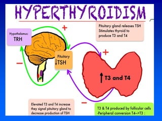 ThyroidFunction Tests interpretattion.ppt