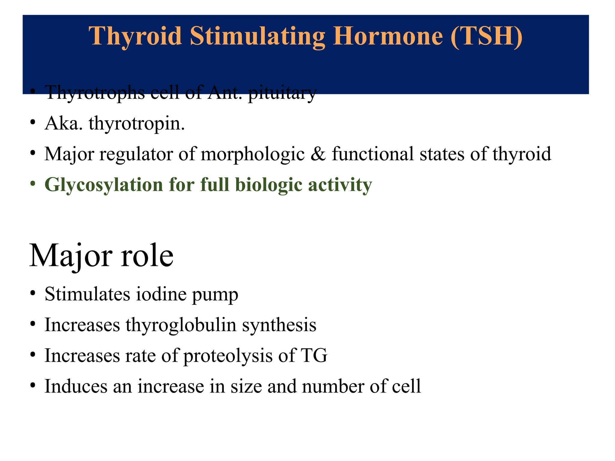 Thyroid Function Test( Thyroid Hormones).pptx