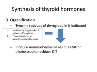 thyroidgland-120420032852-phpapp01 copy.pptx