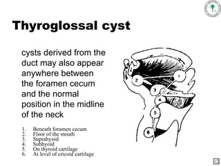 anatomy of Thyroid gland | PPT