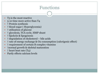 Thyroid gland | PPT