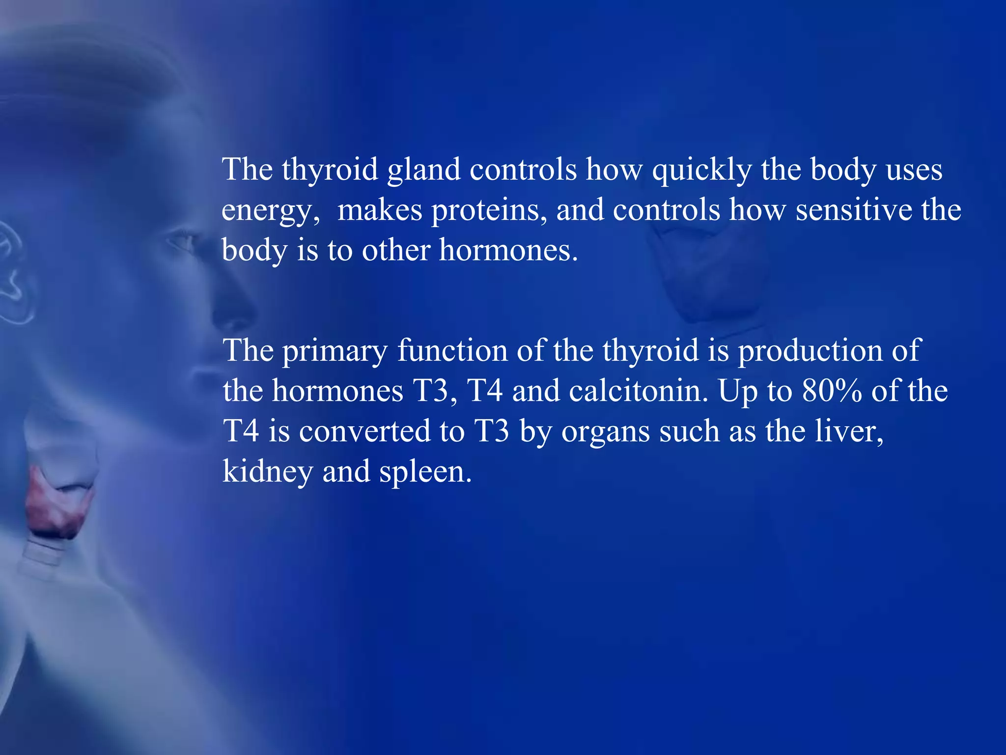 Thyroid gland | PPTX