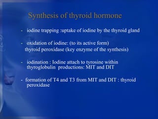 Thyroid gland | PPTX