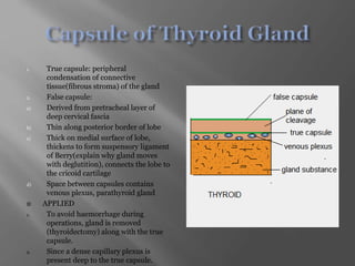 Thyroid gland | PPTX