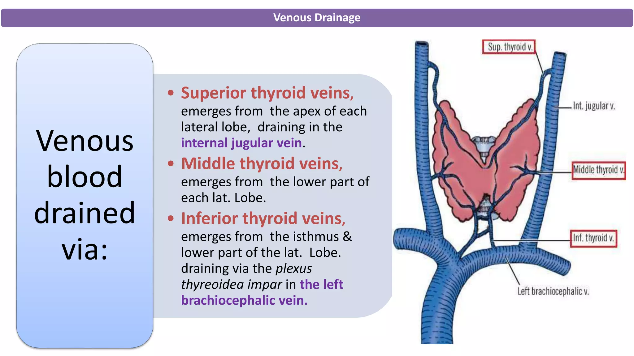 Thyroidectomy | PPTX