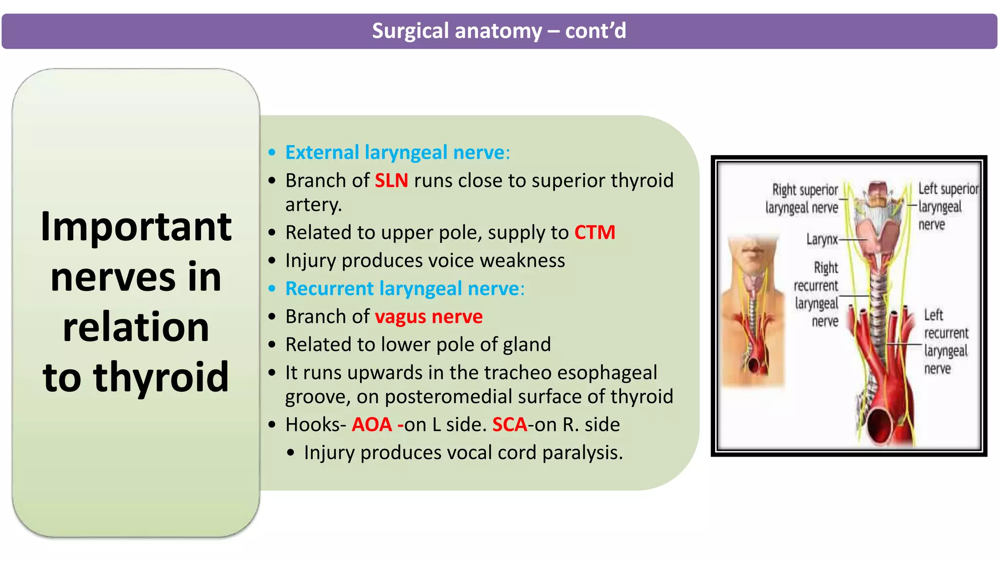 Thyroidectomy | PPTX