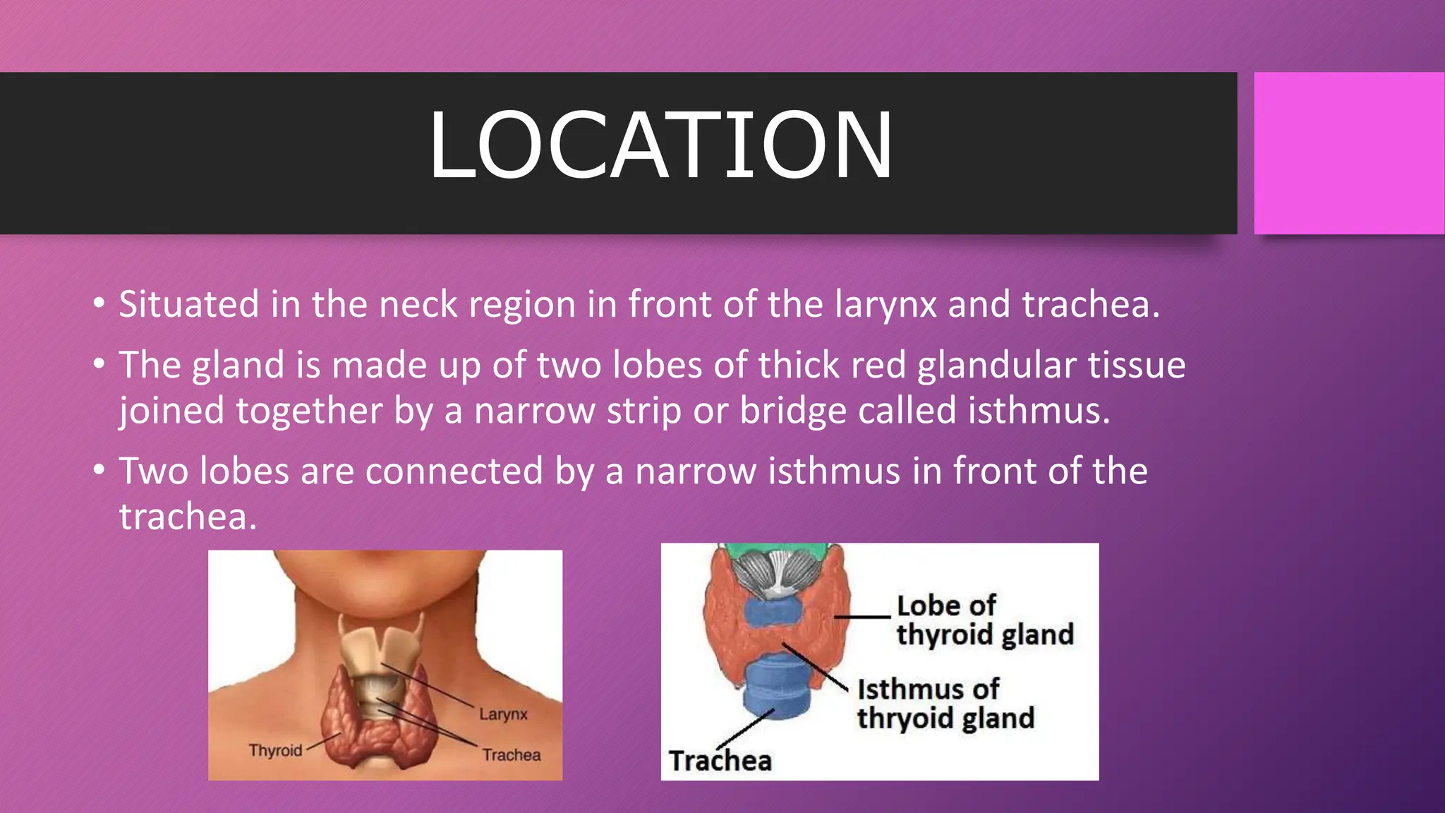 thyroidgland-161025185554.pdf