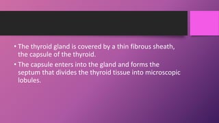 Thyroid gland | PPTX