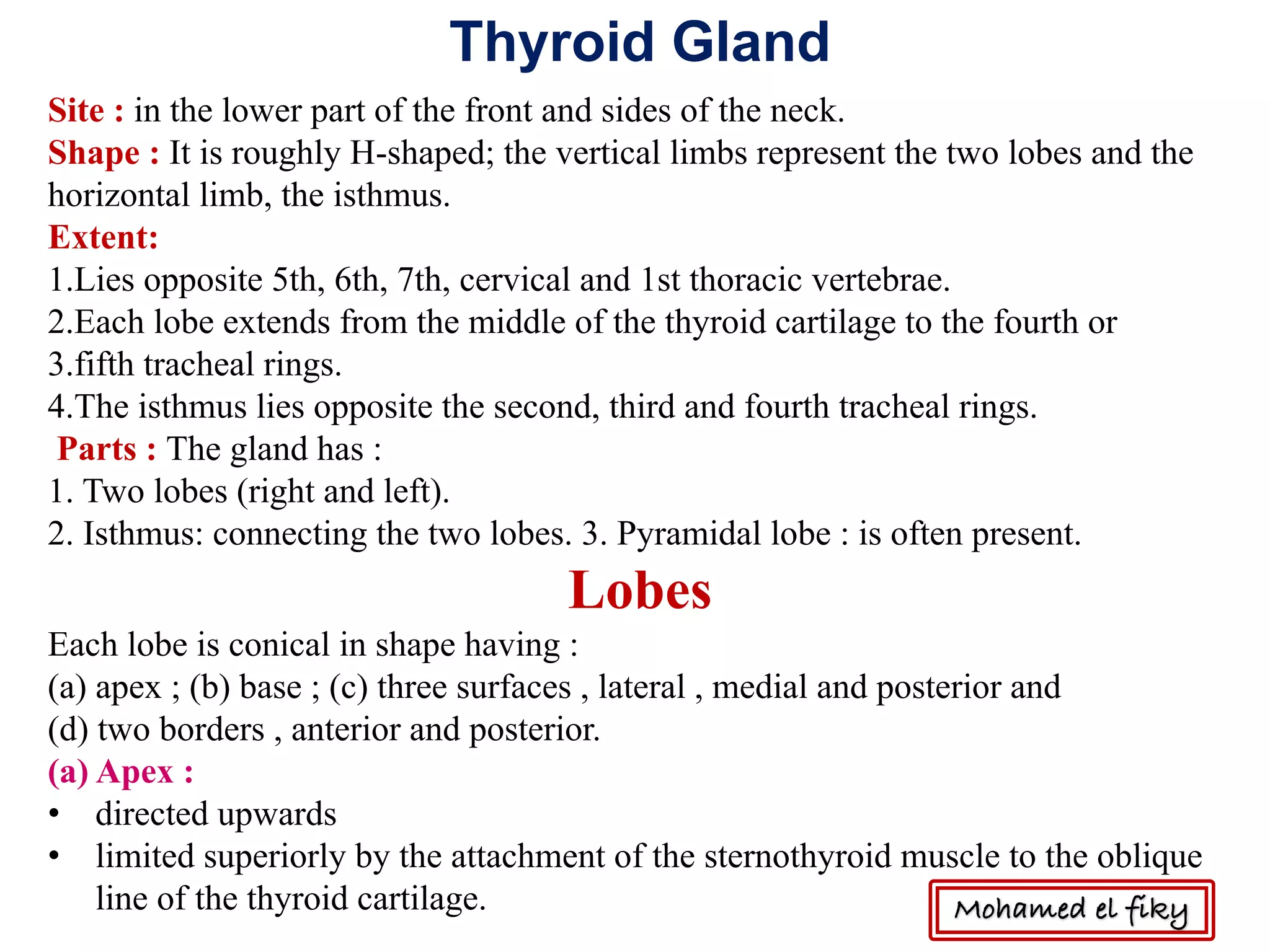 Thyroid gland | PDF