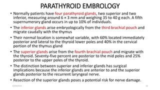 Thyroid gland | PPTX