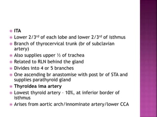 Thyroid gland | PPTX