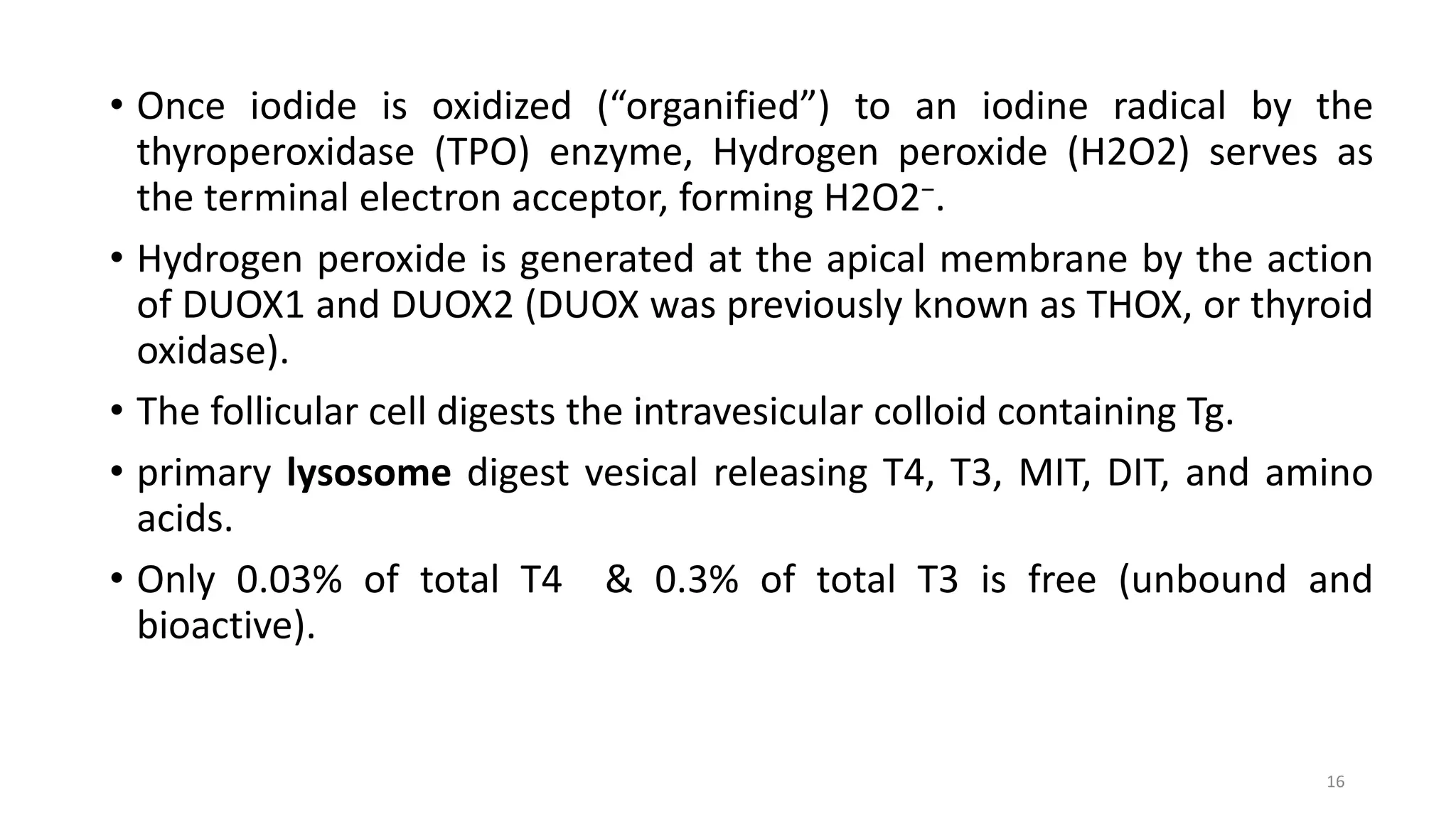 Thyroid gland | PPTX