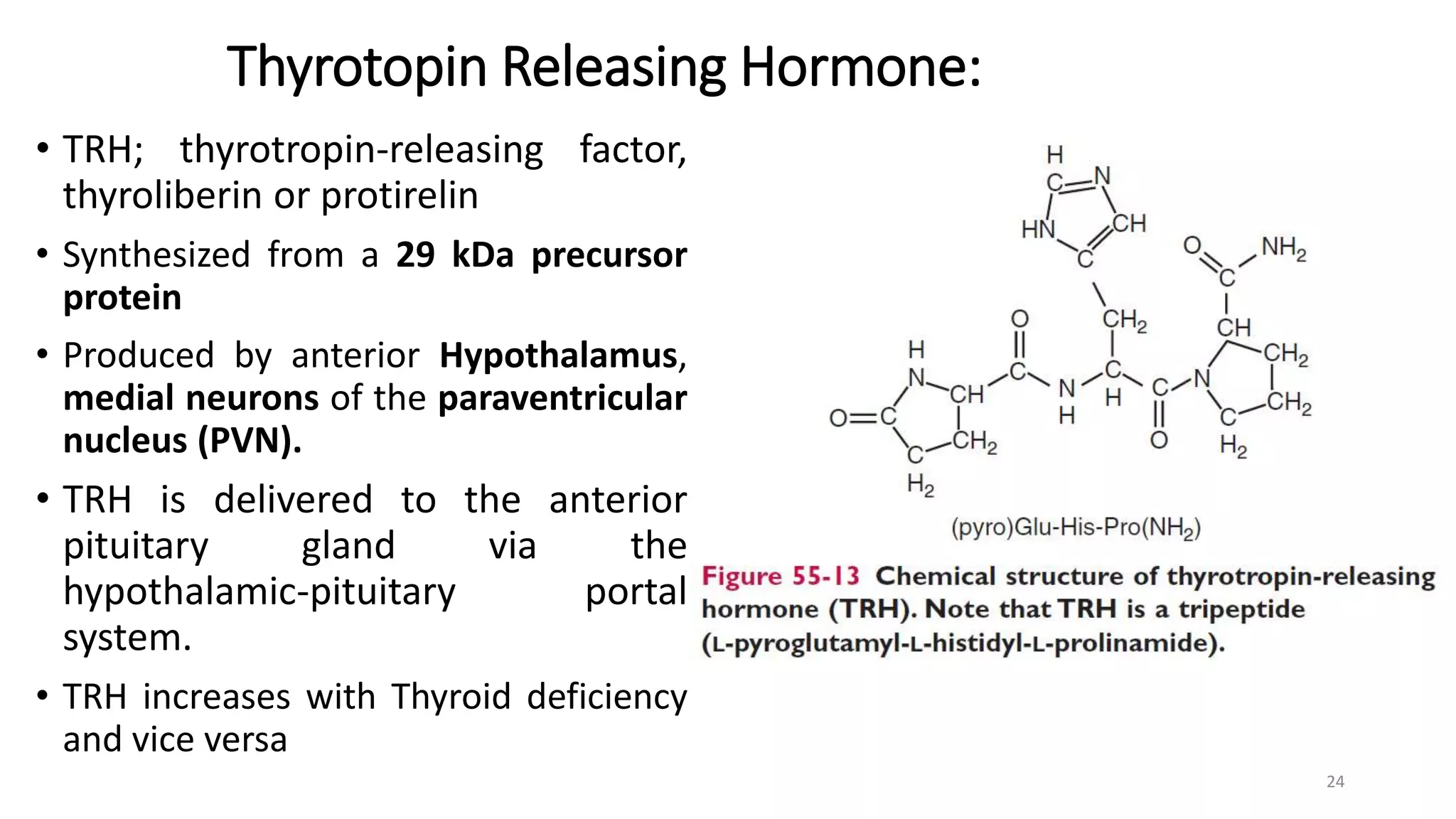 Thyroid gland | PPTX