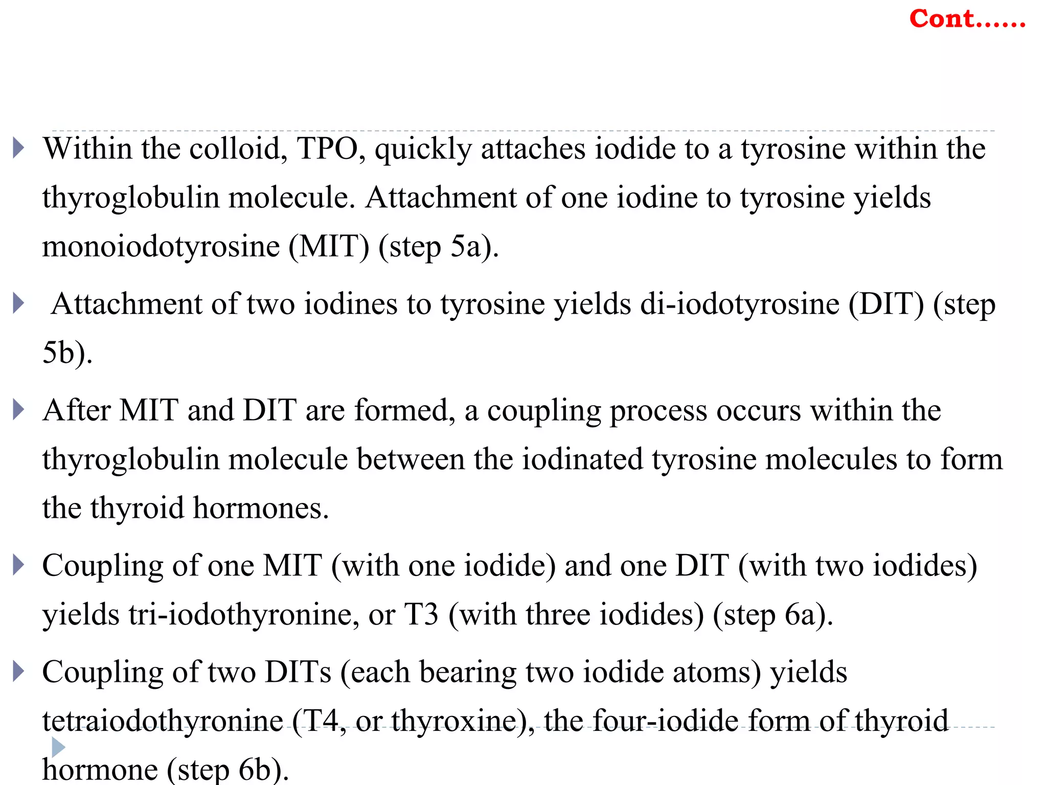 Thyroid gland | PPTX | Thyroid Disorders | Endocrine and Metabolic Diseases
