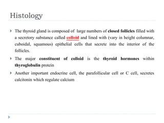 Thyroid gland | PPTX | Thyroid Disorders | Endocrine and Metabolic Diseases