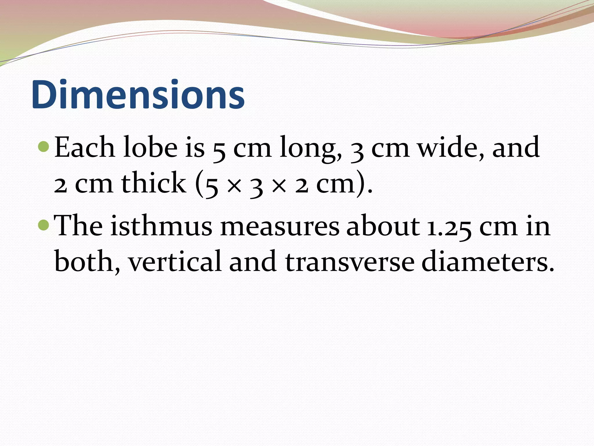Thyroid gland | PPTX