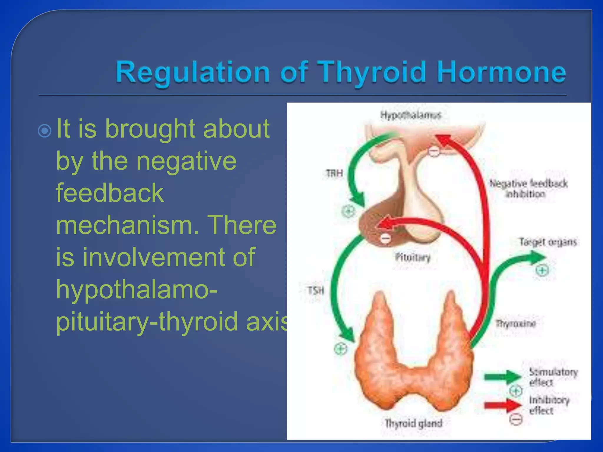 Thyroid gland | PPTX