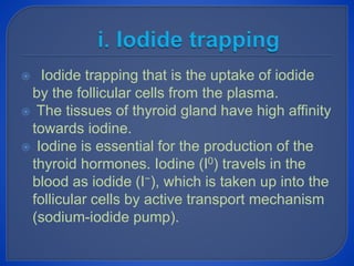 Thyroid gland | PPTX