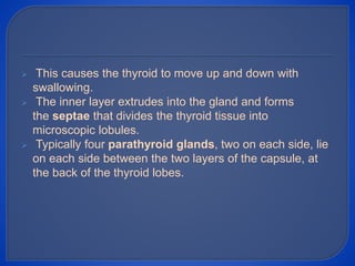 Thyroid gland | PPTX